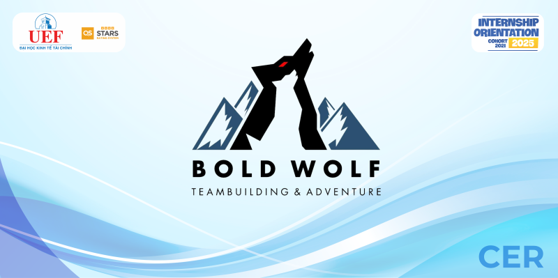 Cơ hội thực tập tại Công ty CP Truyền thông Bold Wolf